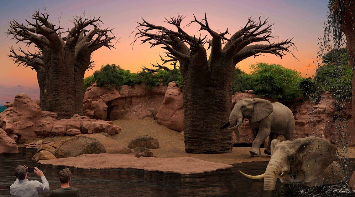 Elephant Area for Zoological Park - THEME PARKS DESIGN AND CONSTRUCTION ...